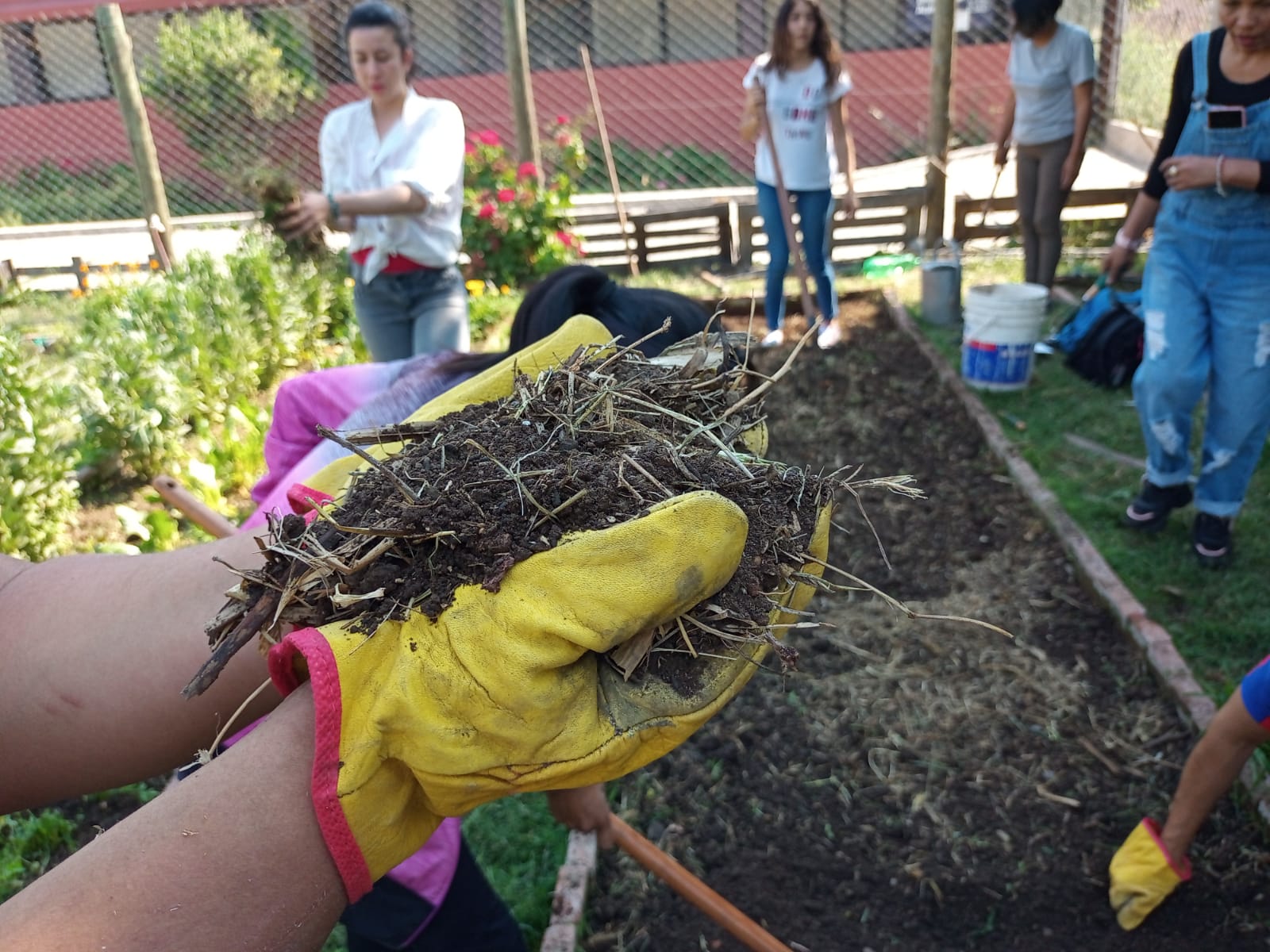 Mes del Compostaje: el municipio realizará una capacitación en San Luis ...